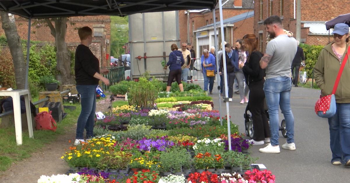 Thuin: une 20e édition de la Foire aux fleurs en pleine éclosion | Télésambre