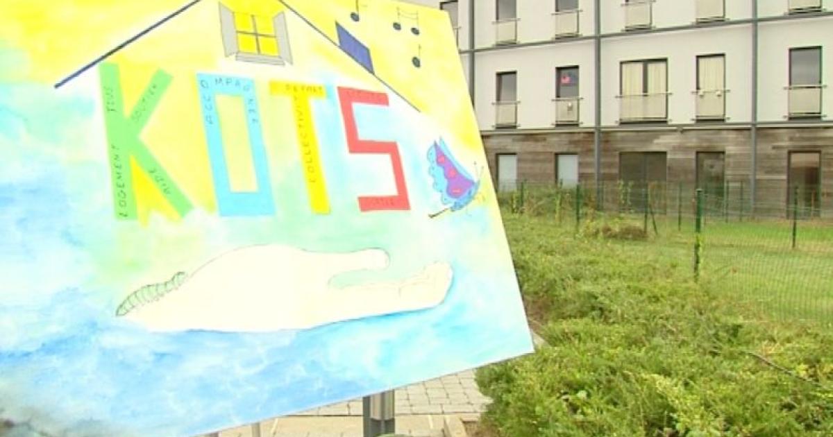 Les Kots Tremplins : des logements pour plus d'autonomie pour les 18-25 ...