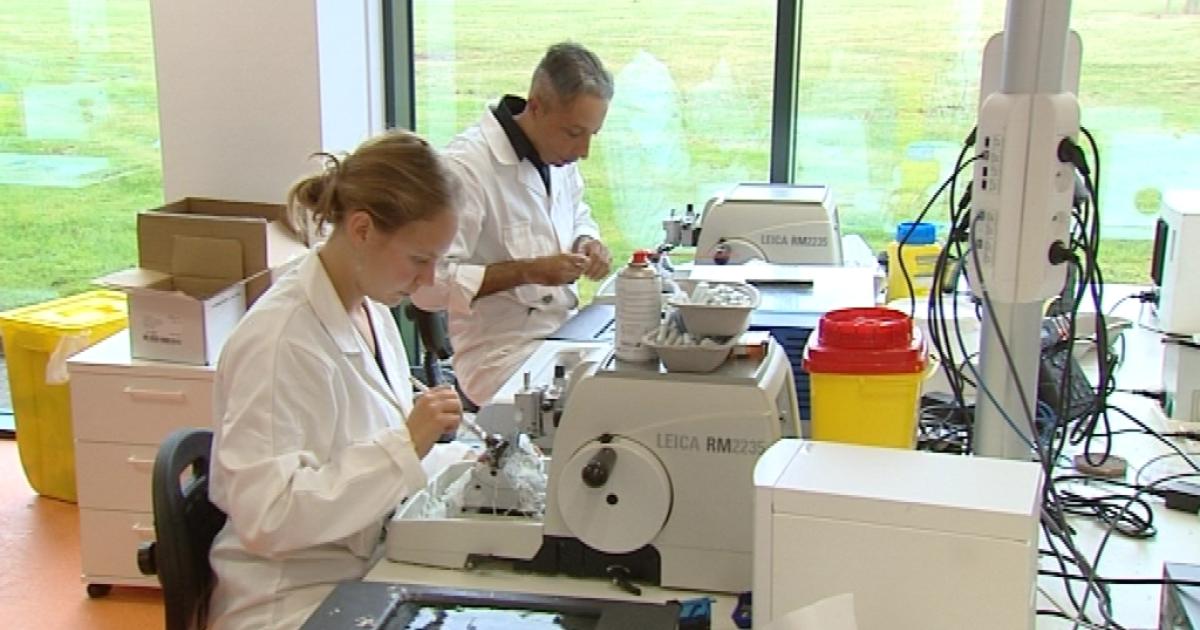 Inauguration du CurePath à Jumet | Télésambre