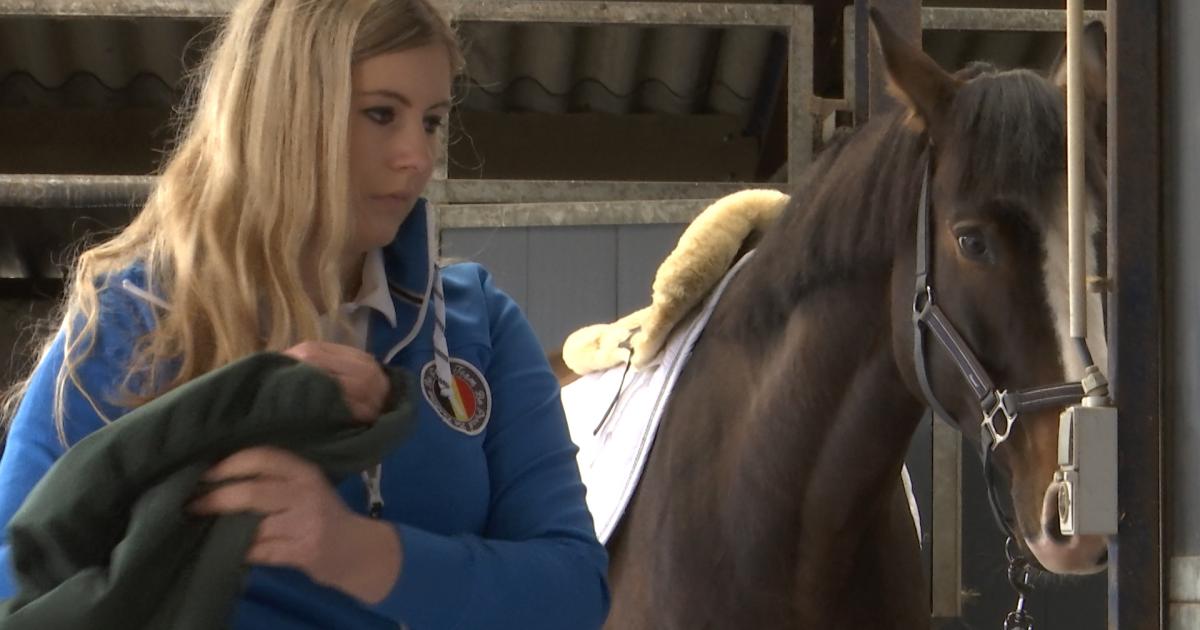 Equitation : entre Morgane et son cheval Riboy, une belle complicité ...
