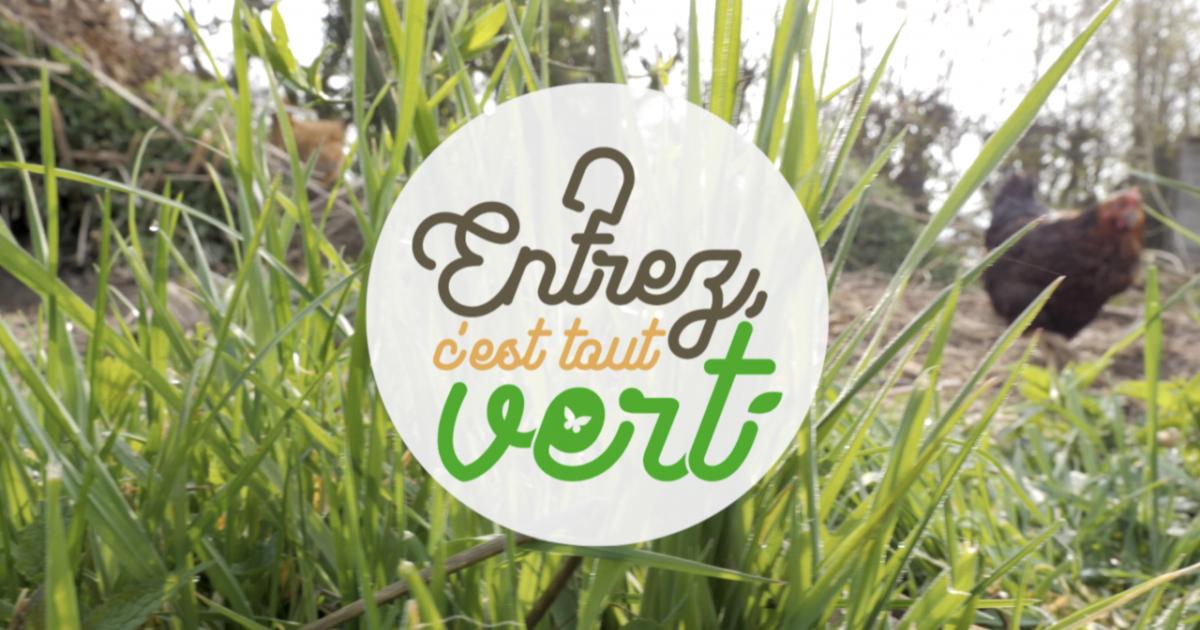 Entrez, c'est tout vert ! - Le jardin en hiver | Télésambre