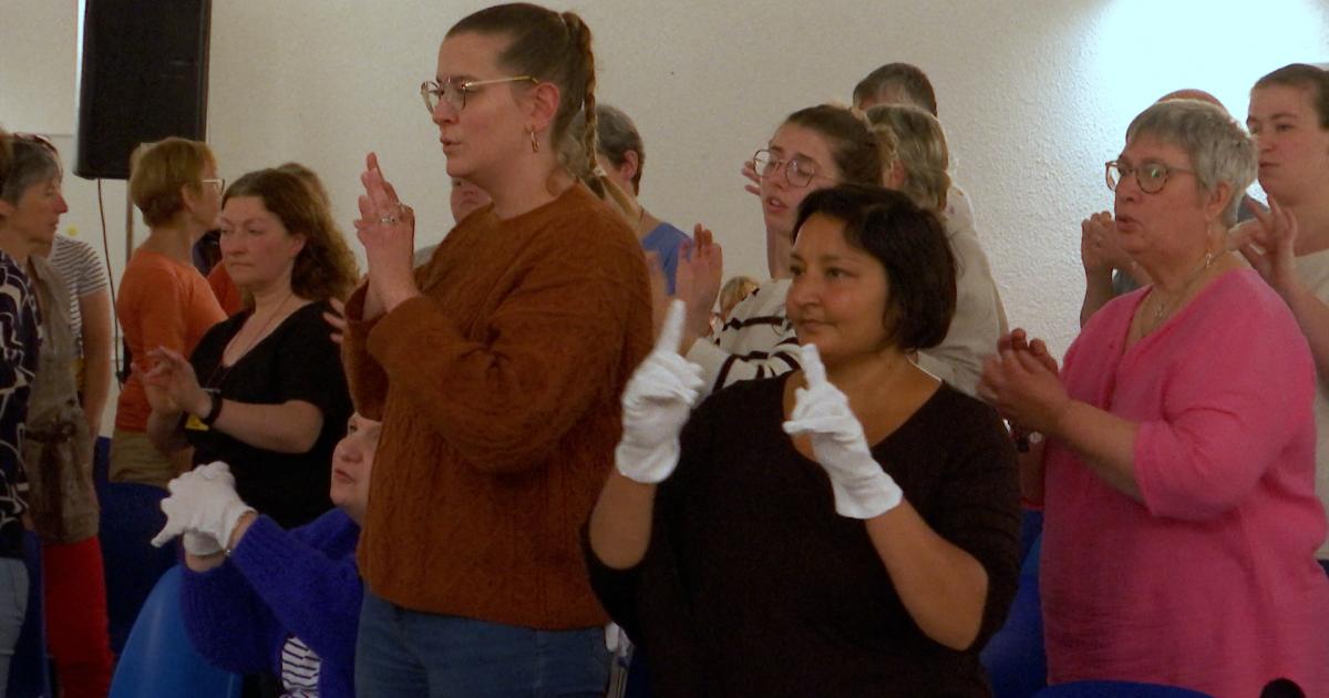 "Le chant des Signes", un spectacle inclusif en préparation | Télésambre